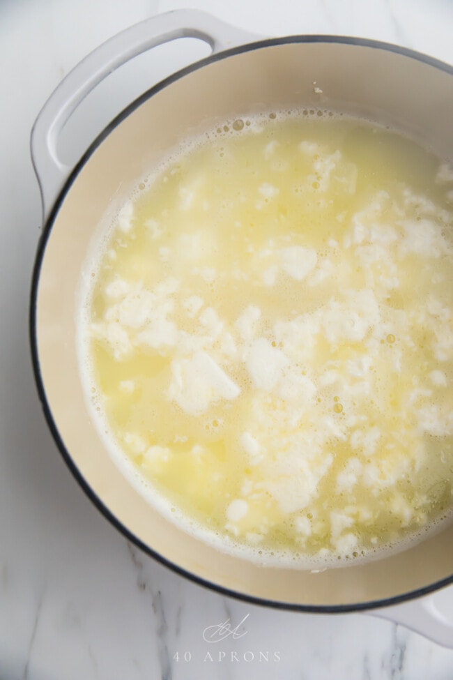 How to Make Paneer (Indian Cheese): Step by Step Guide - 40 Aprons