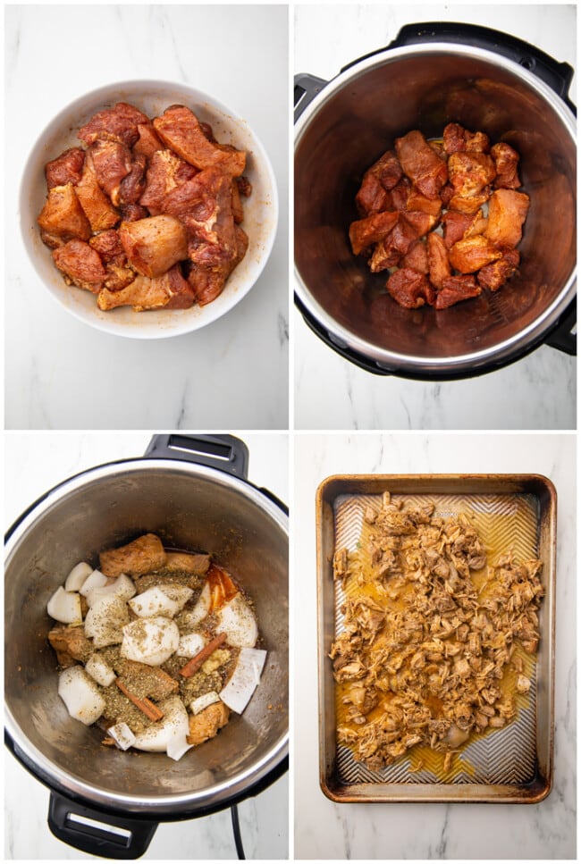 Instant Pot Carnitas - 40 Aprons