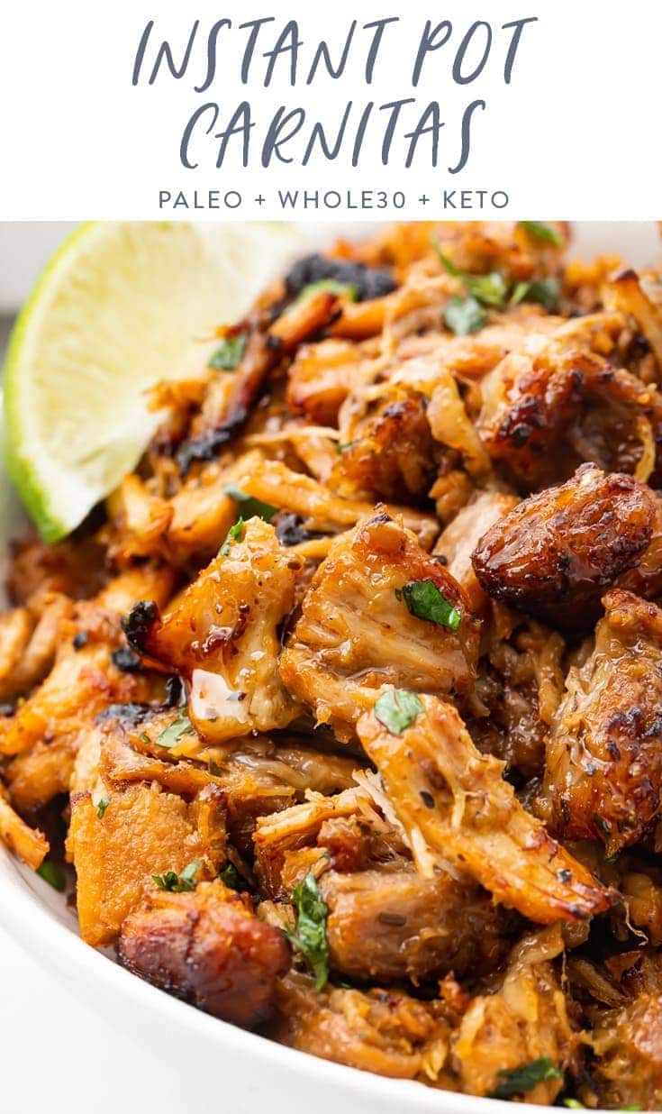 Instant Pot Carnitas - 40 Aprons