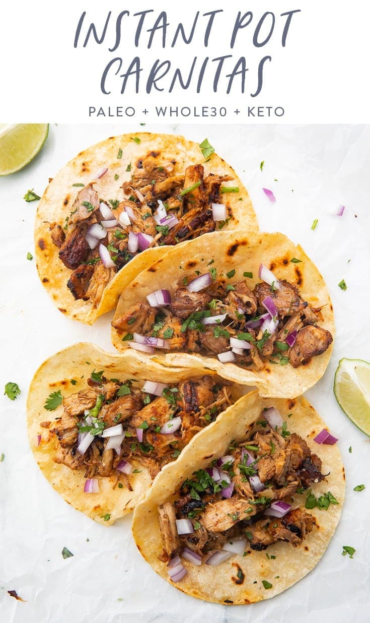 Instant Pot Carnitas - 40 Aprons