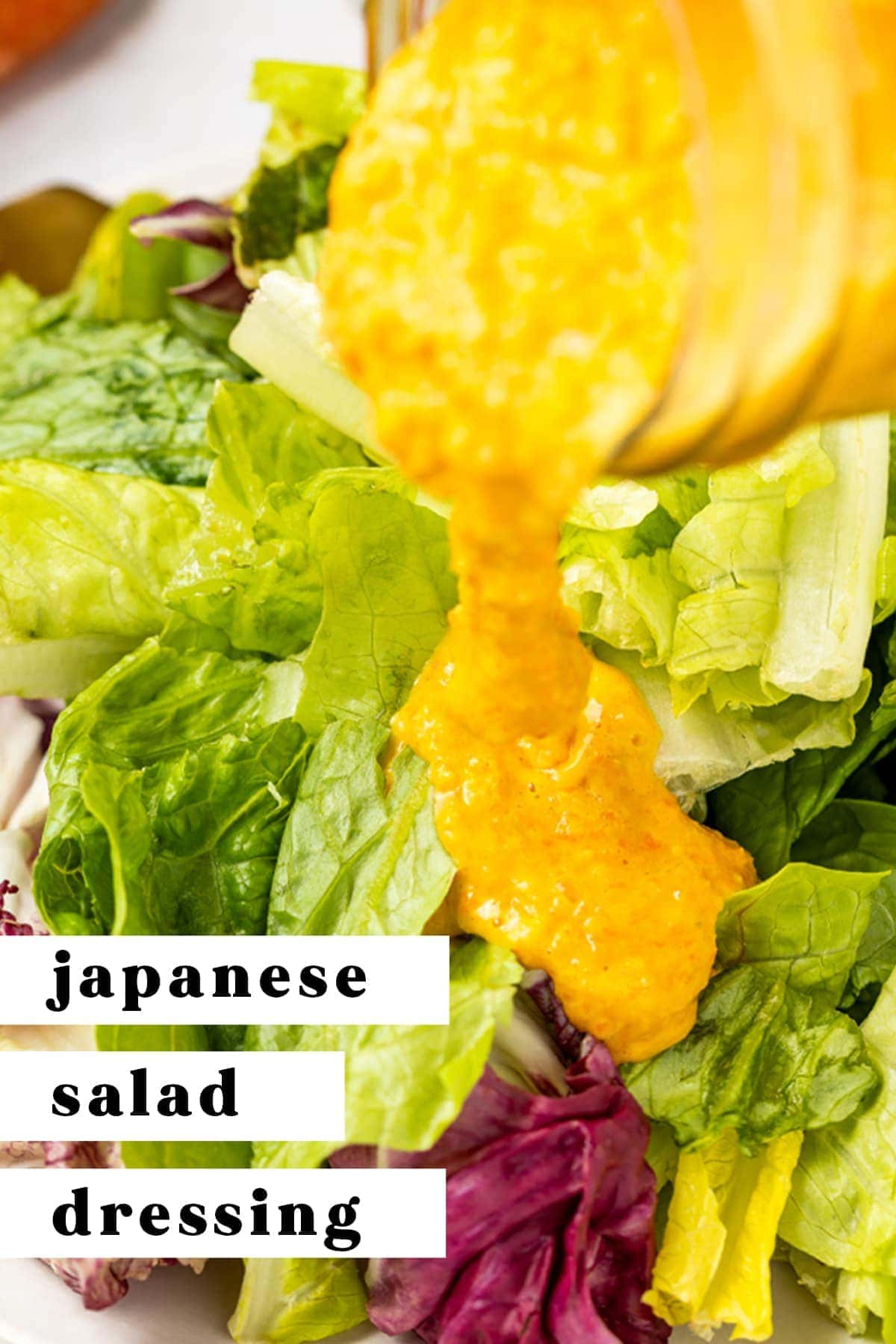 Japanese Salad Dressing - 40 Aprons