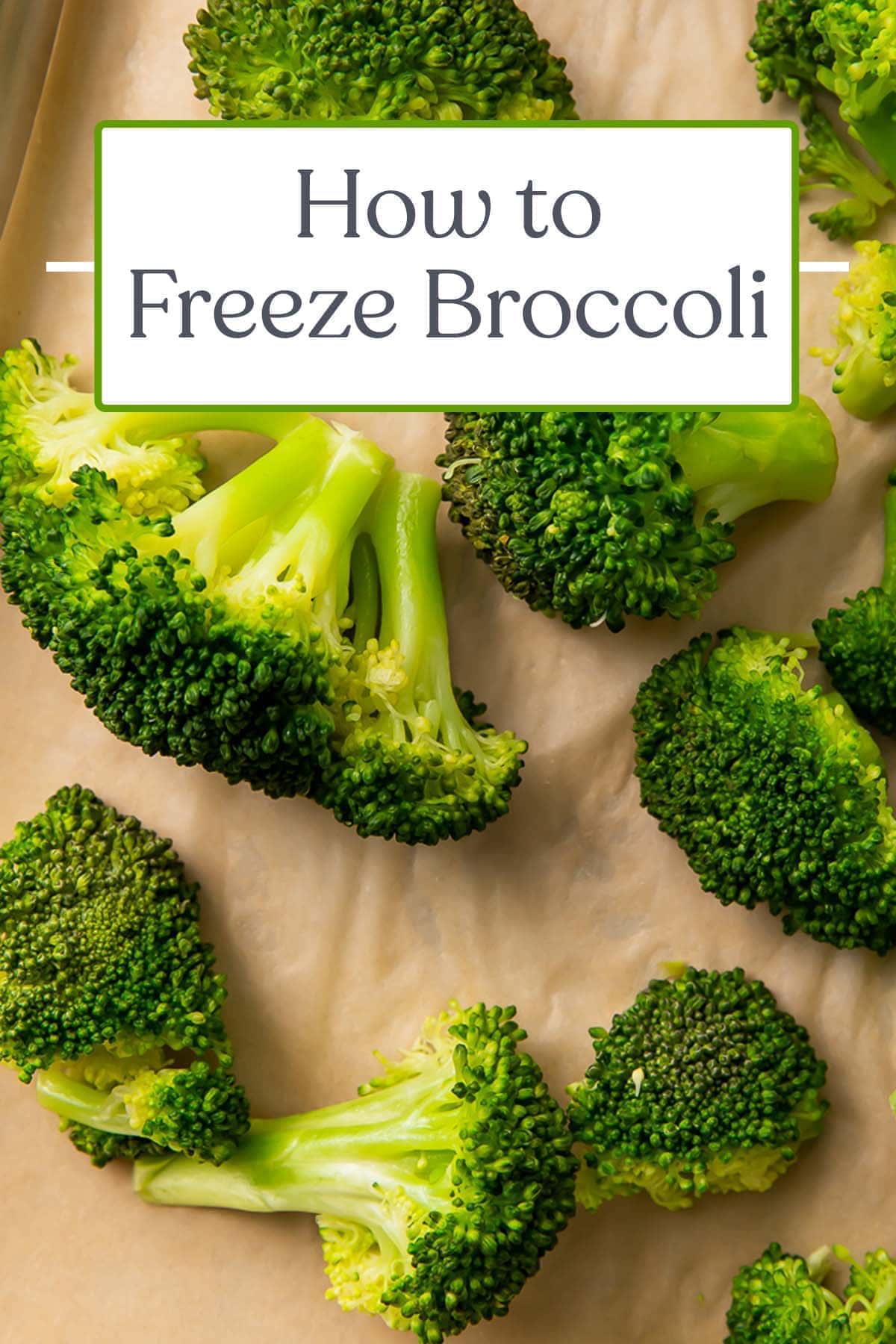 How to Freeze Broccoli (with 3 Cooking Methods) - 40 Aprons