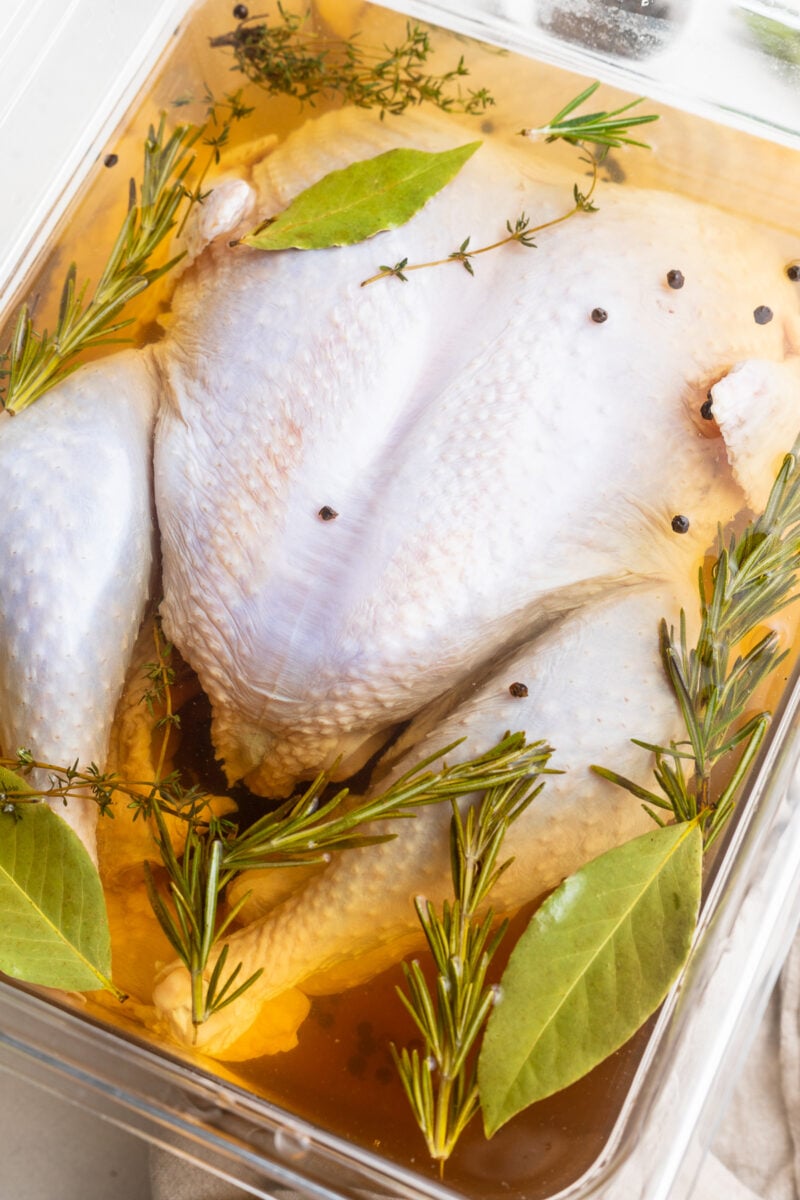 Quick Turkey Brine - 40 Aprons