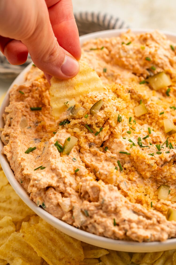 Nashville Hot Chicken Dip - 40 Aprons