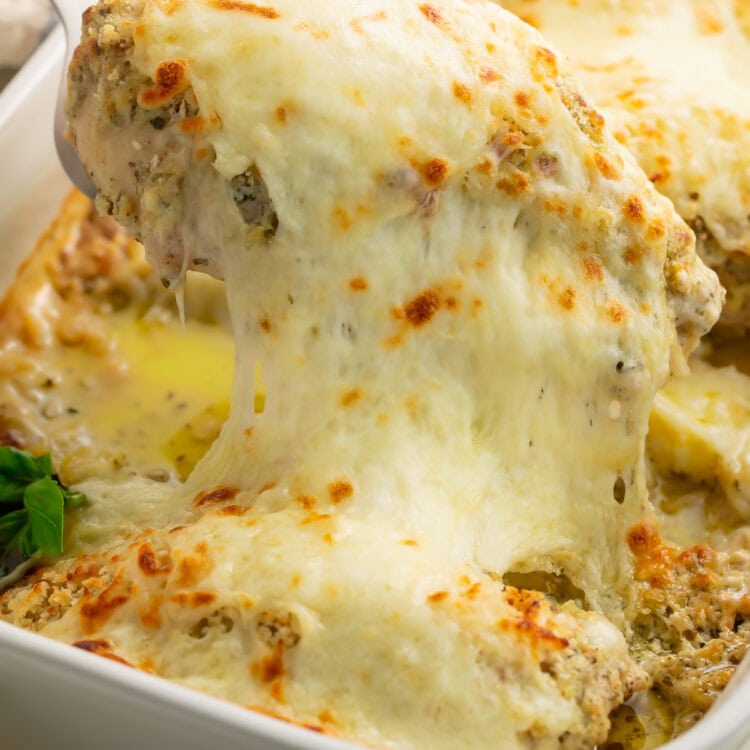 Cheesy Pesto Chicken - 40 Aprons